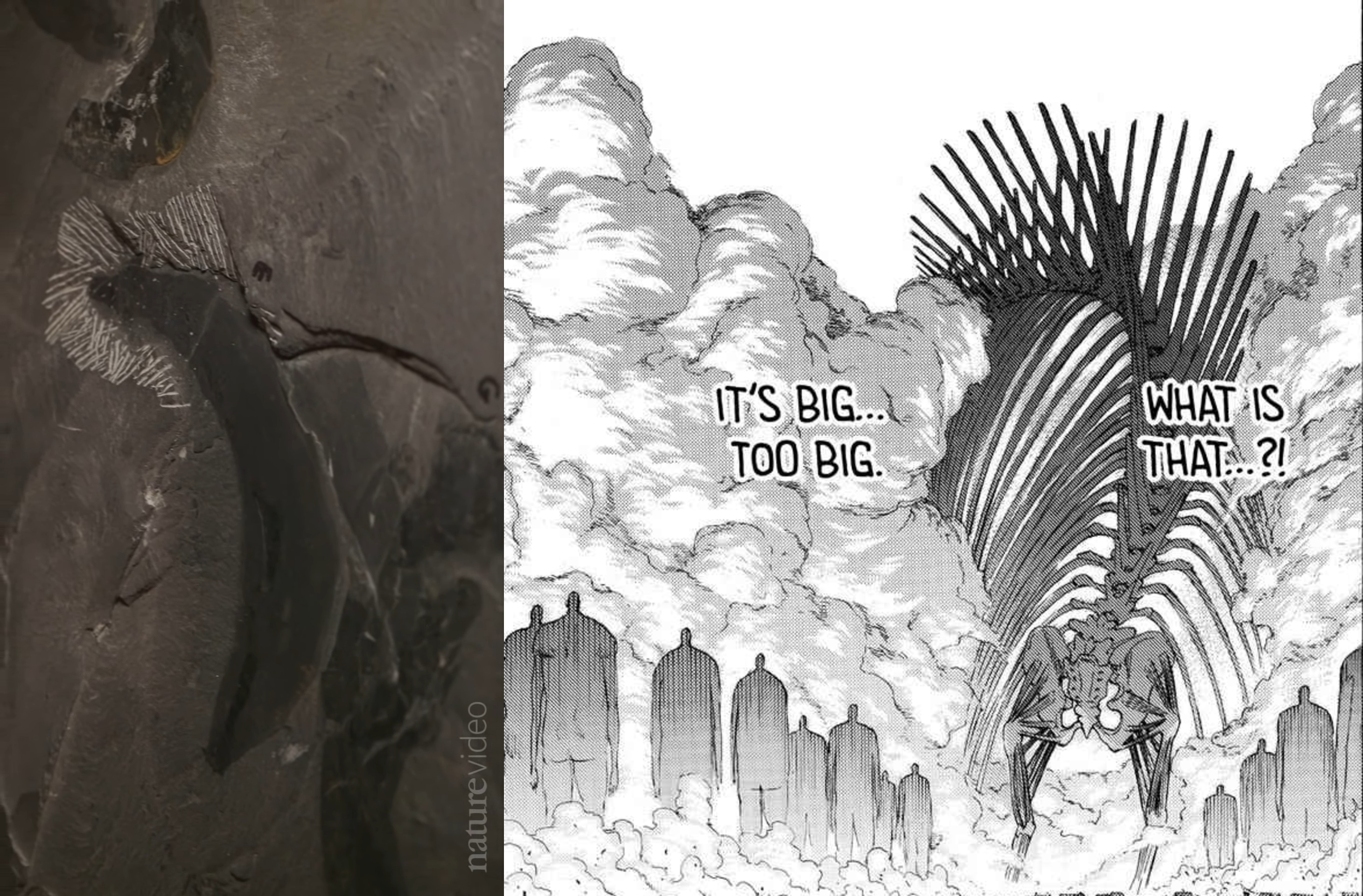 Eren Yeager and Hallucigenia in Attack on Titan – In Asian Spaces