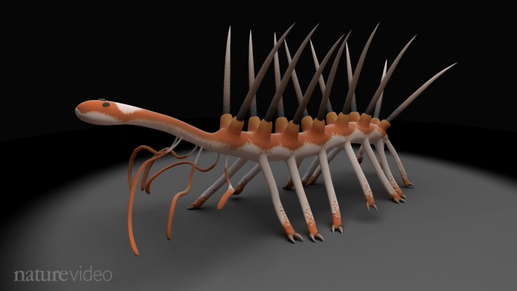 Hallucigenia – the Primordial Spinal Creature from Attack on Titan – In ...