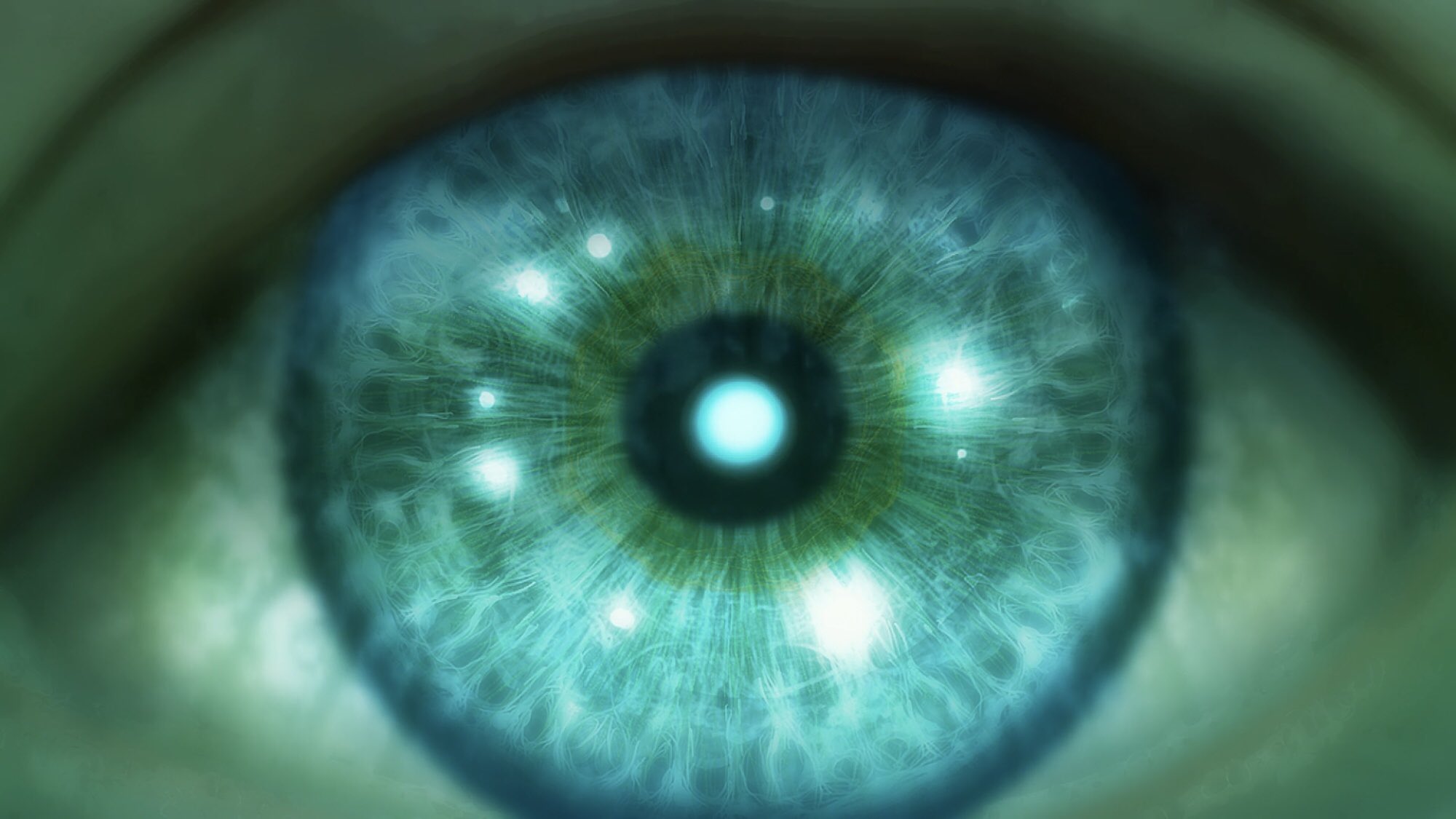 Attack on Titan – In Asian Spaces